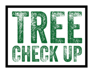 Florida Tree Experts - Tree Check Up LLC.